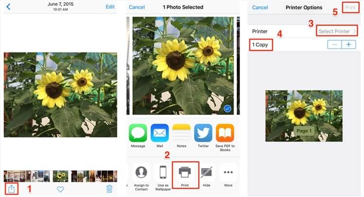  Guide How Can Print From IPhone With without AirPrint